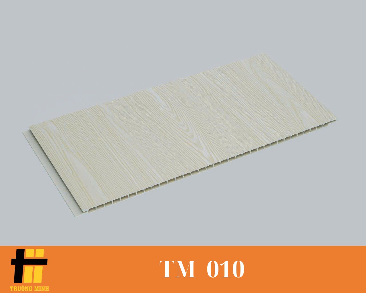 Tấm nhựa nano TM 010 - TÂN TRƯỜNG MINH